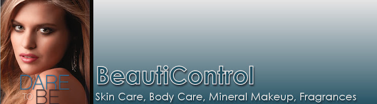 BeautiControl: BeautiControl Director