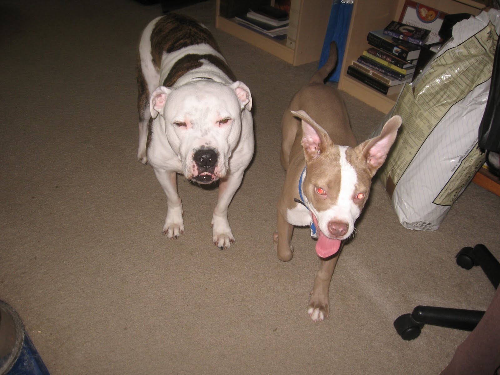 Captain Destructo Headquarters