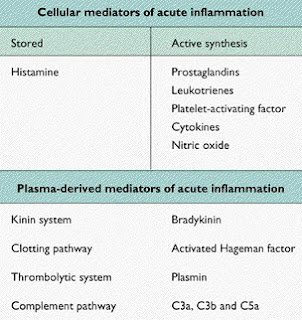 Reaksi Inflamasi - Abhique