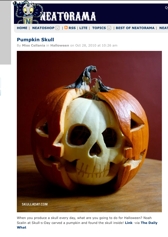 Skull-A-Day Press: Pumpkin Anatomy Skull