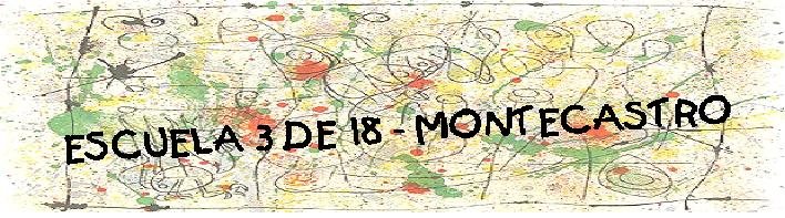 ESCUELA 3 DE 18 -MONTE CASTRO-