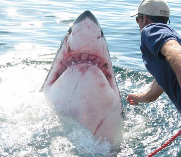 The Tuxedo & The Stiletto: August 2010