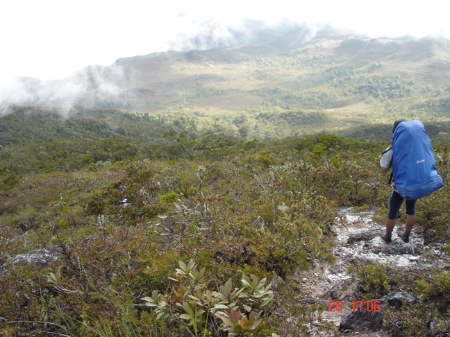 Tropical Rainforest Malaysia Indonesia Outdoors Adventure Skill Guide ...