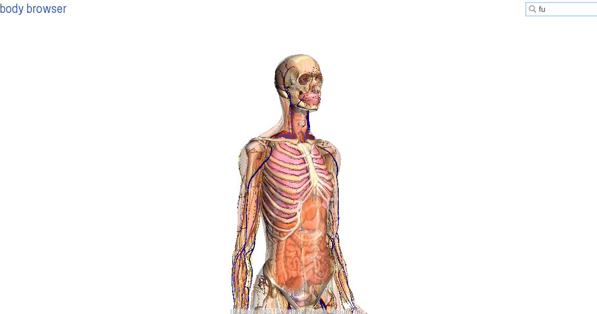 Maps Mania: Mapping the Human Body