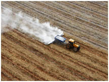 EL COMPO OTRA ALTERNATIVA: ENCALADO DEL SUELO