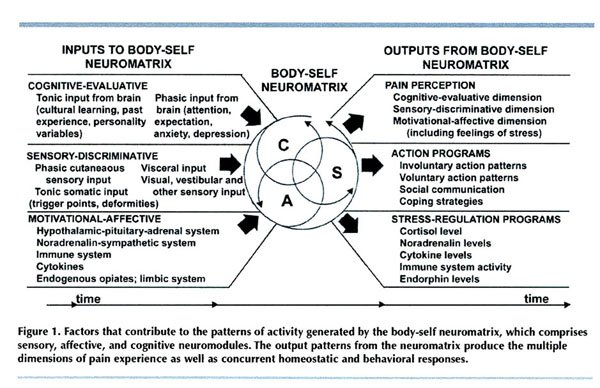 HumanAntiGravitySuit: New treatment encounter IV