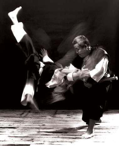 shorinji+kempo.JPG (380×467) | Martial arts, Martial arts workout ...