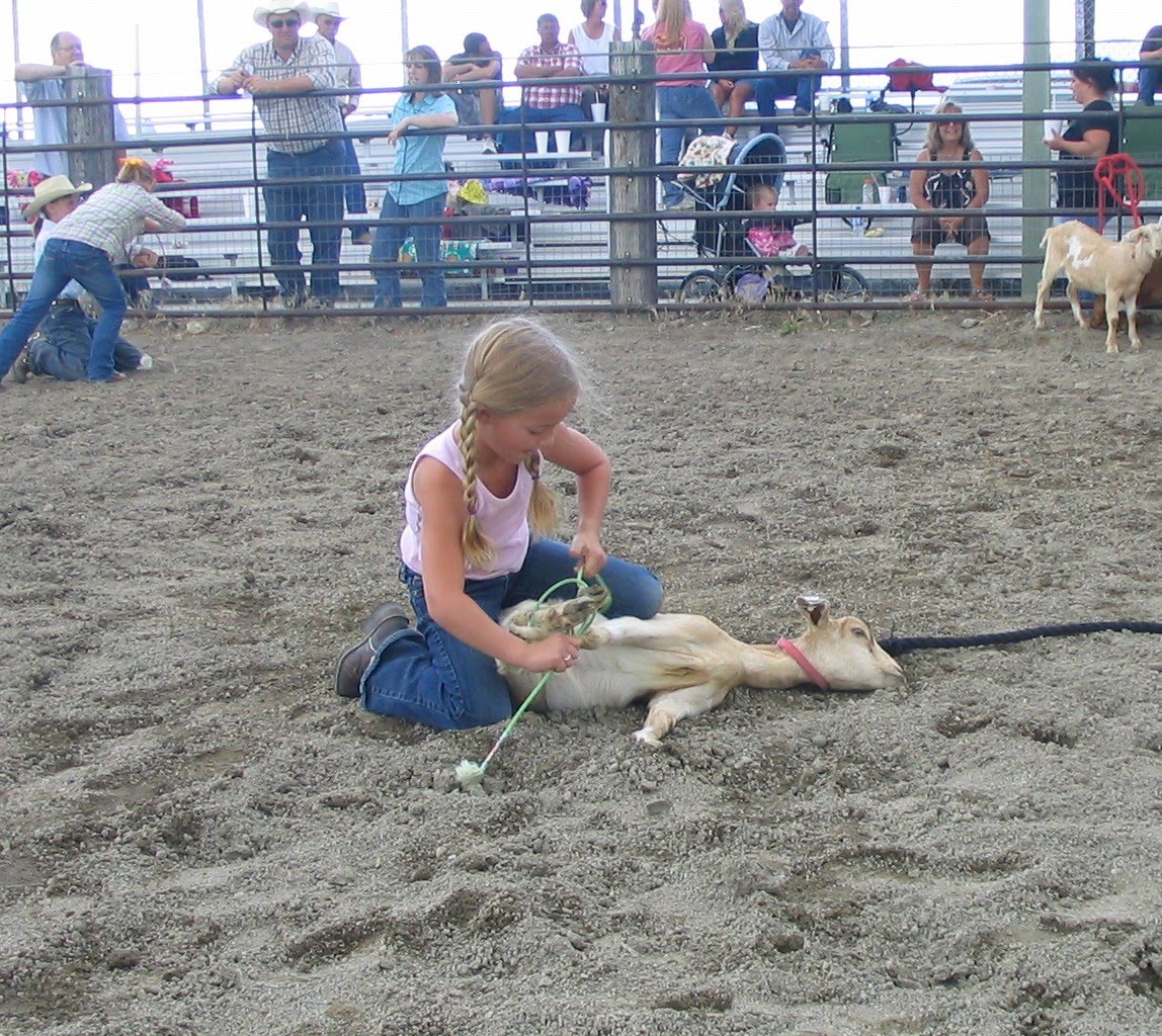 The Wheatley Roundup: Goat Tie Down