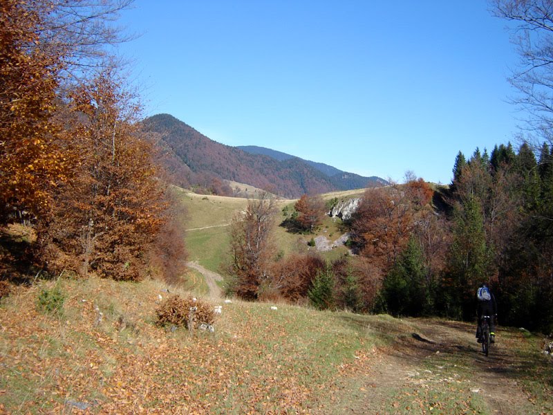 Pe drumul cel bun: Pe doua roti