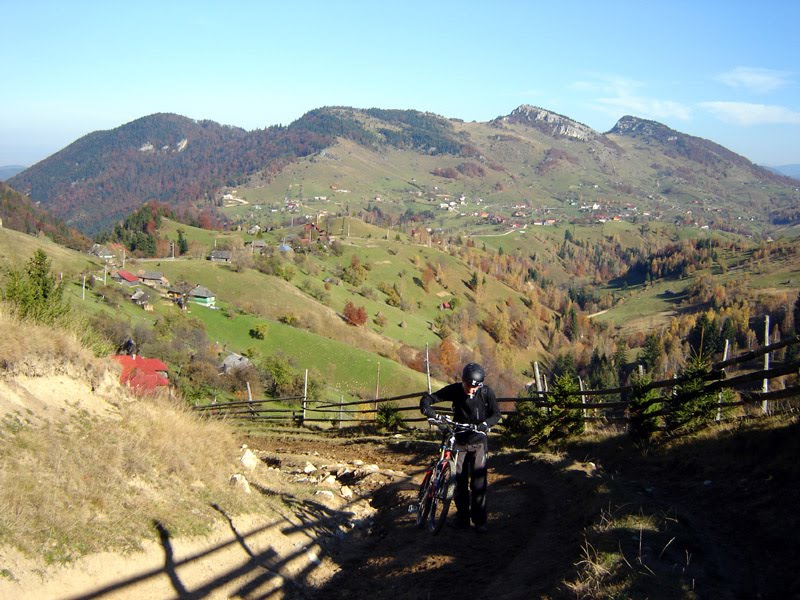 Pe drumul cel bun: Pe doua roti