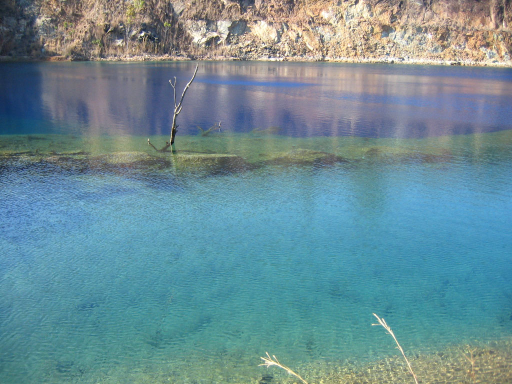 Caliandra do Cerrado: Lago azul no cerrado