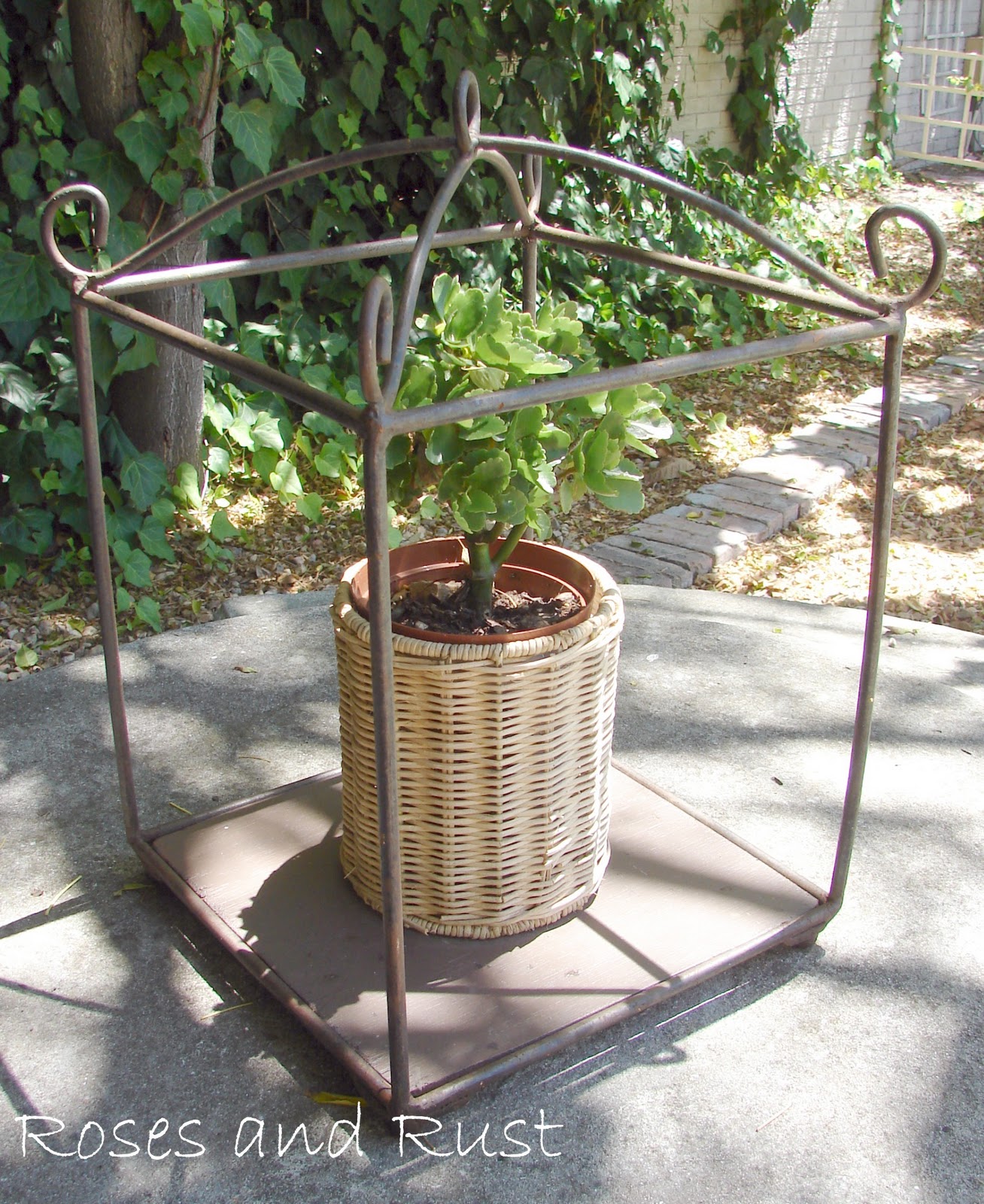 Roses and Rust: Why Roses and Rust?