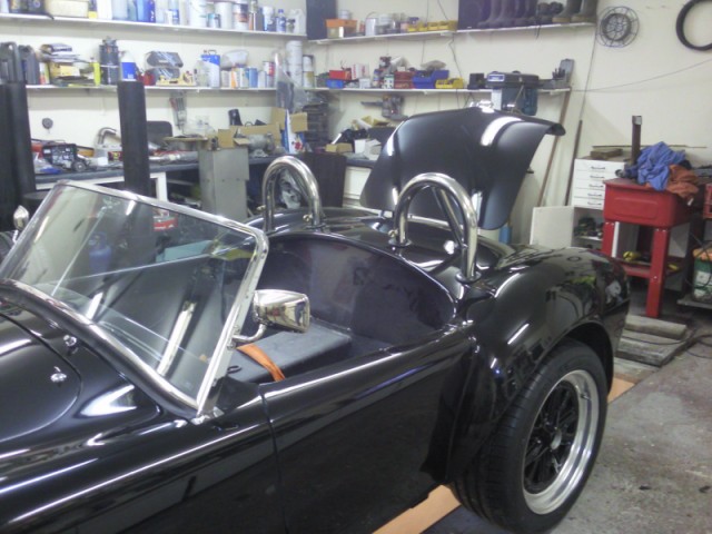 Rob's Gardner Douglas Cobra : Roll Bars