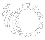 Free Printable Stencil Designs: Cornucopia Stencil