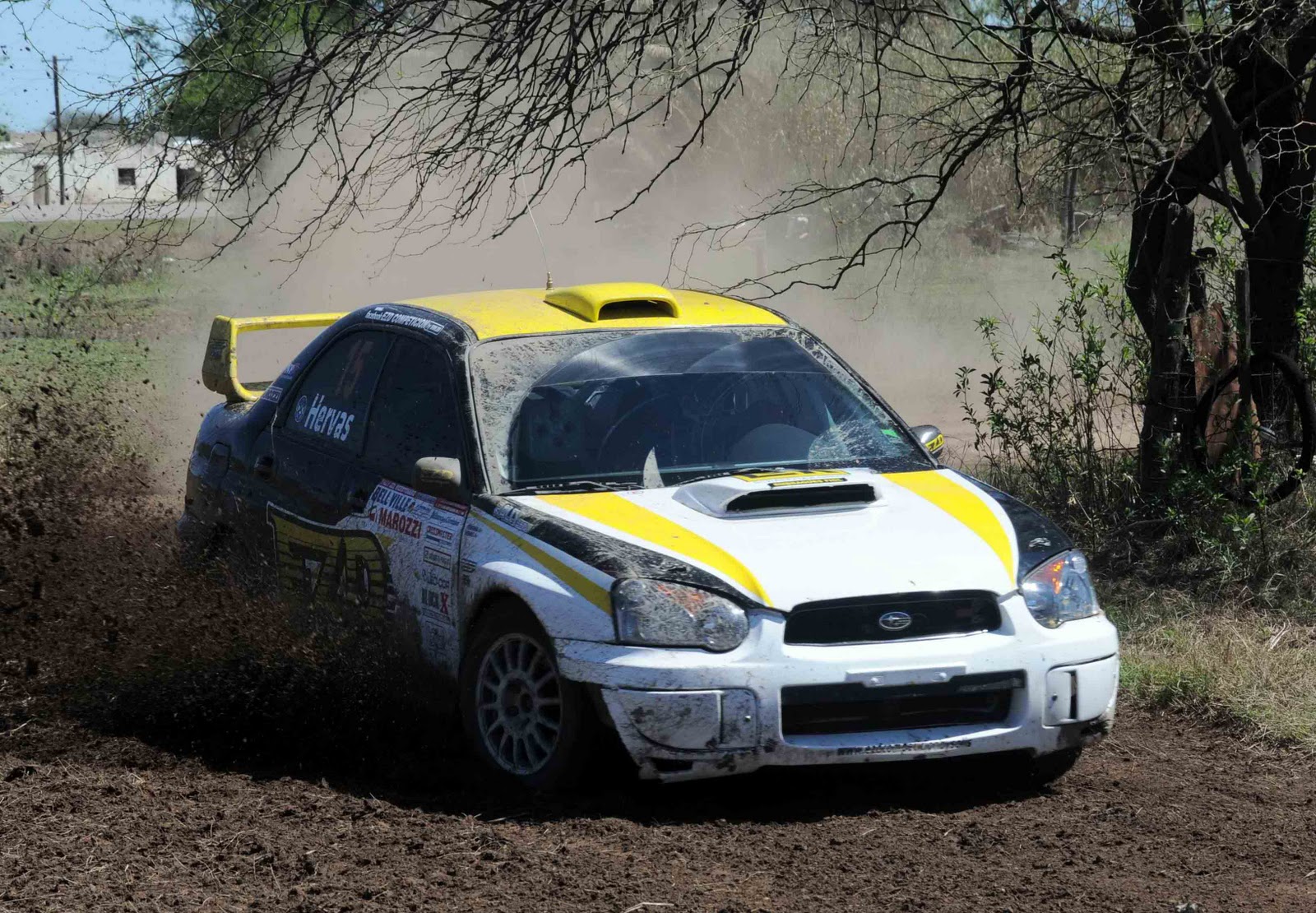 100% RALLY: Tipos de Rallyes (categorías)