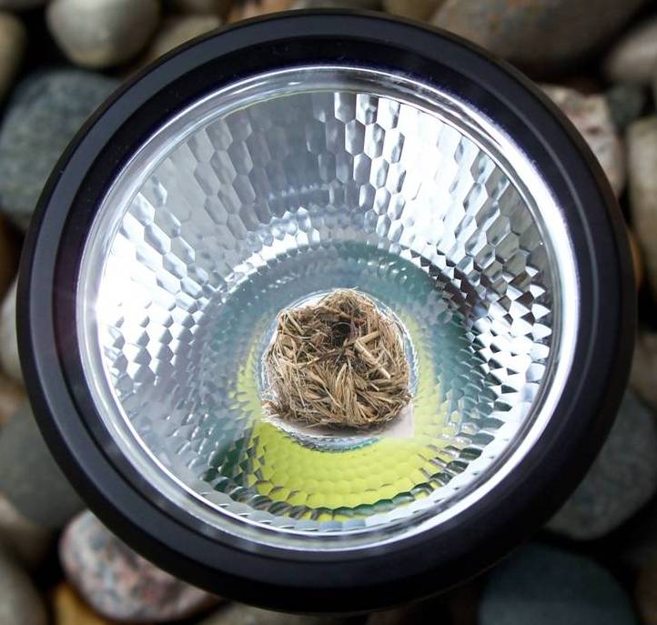 Survival Information for Everyone: Creating “The Plan” – Food – Part #4