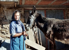 REFLEXIONES: Cayetano Ripoll, maestro, última víctima de la Inquisición