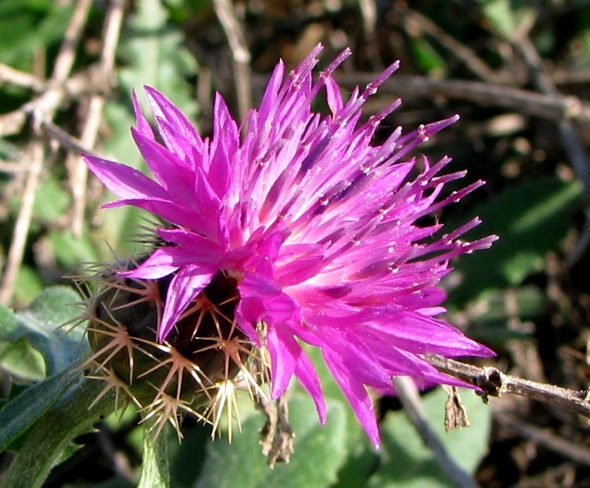 REFLEXIONES: noviembre 2009