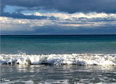 REFLEXIONES: Cayetano Ripoll, maestro, última víctima de la Inquisición