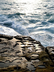 REFLEXIONES: Cayetano Ripoll, maestro, última víctima de la Inquisición