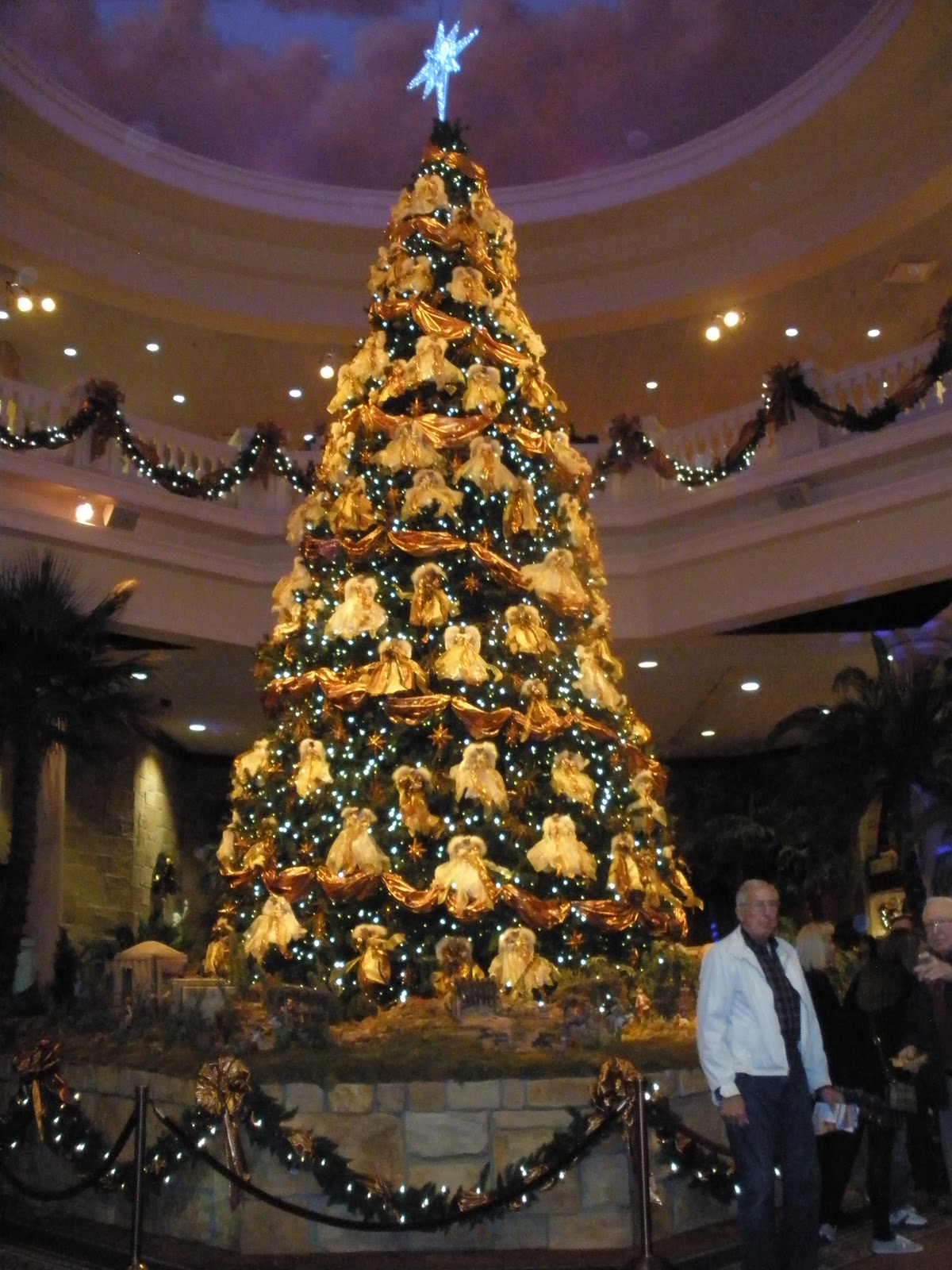 Huber Happenings: Branson Part 2