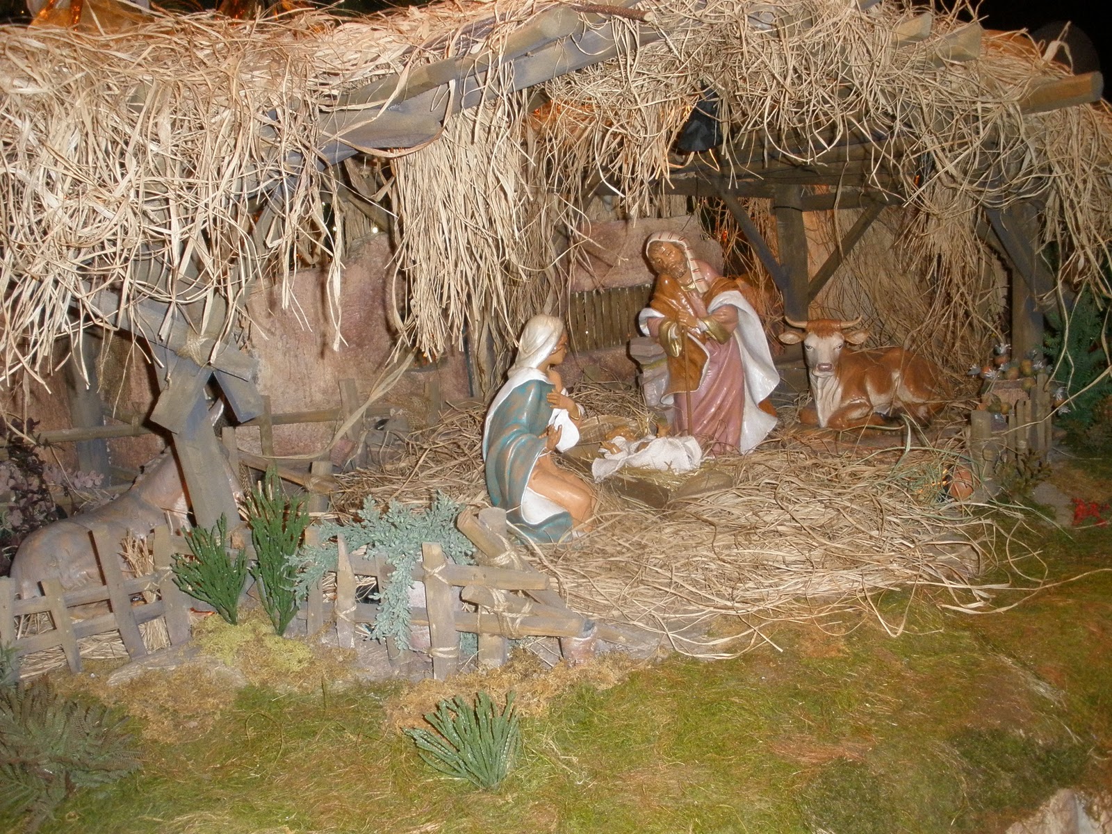 Huber Happenings: Branson Part 2