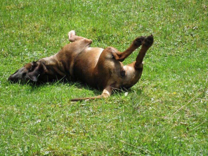 European Adventures: Gorging and Spelunking in Austria