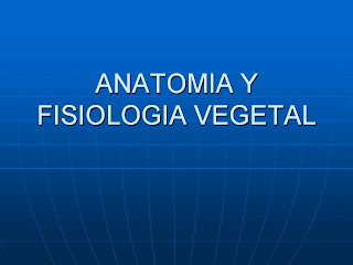 Estudiantes de ICAVIS: Modulo preuniversitario Anatomia y Fisiologia ...