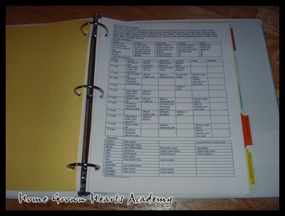 Home Grown Hearts Academy Homeschool Blog: Home Management Binder!