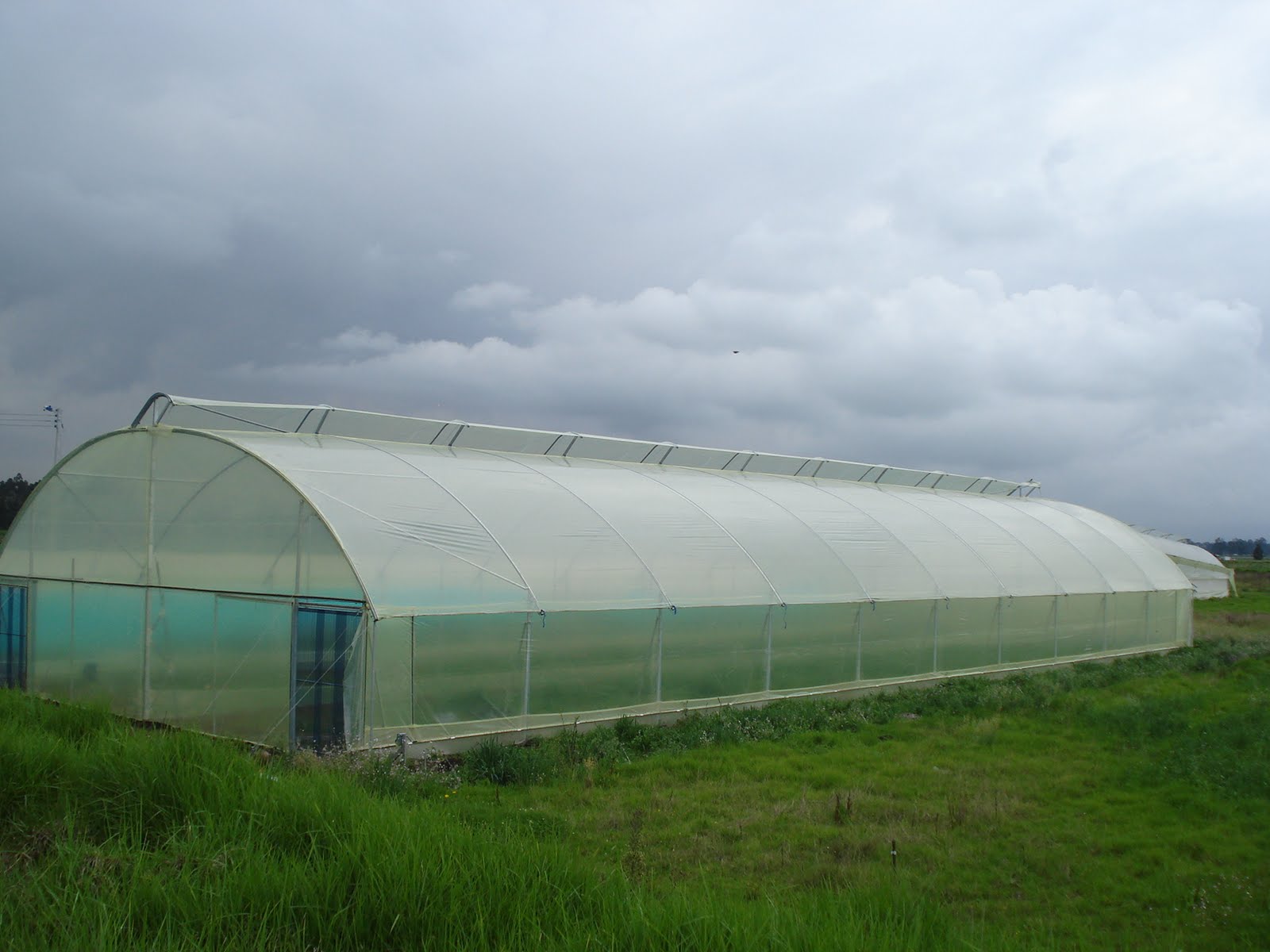 INVERCA COLOMBIA S.A.: NUEVO DISEÑO INVERNADERO INVERCA LA-14