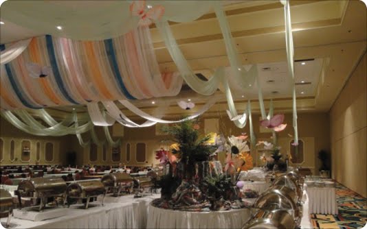 W Drapings Florida: Ceiling Drapings and Wedding Chiffon: W Drapings ...