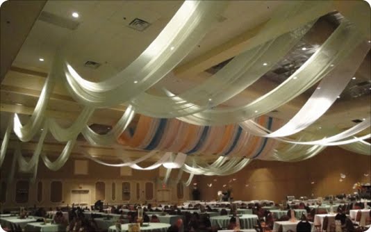 W Drapings Florida: Ceiling Drapings and Wedding Chiffon: W Drapings ...
