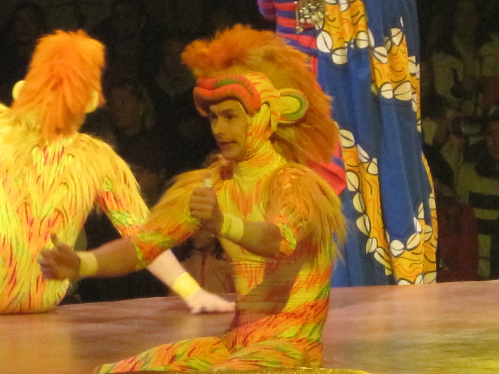 Megan in Wonderland: Where is my favorite Tumble Monkey?