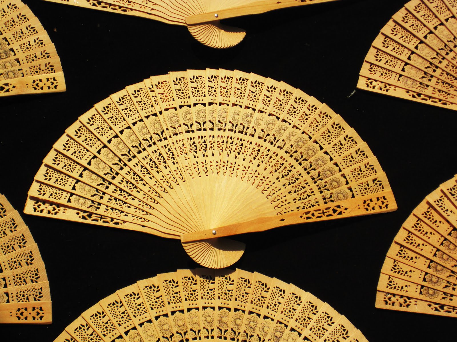 agostinigiulia: Thai fan