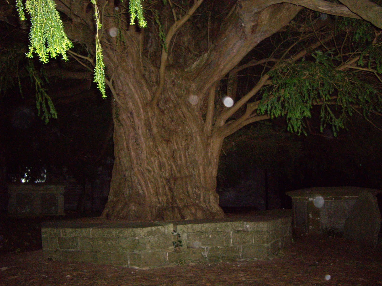 UP SKEPTOSCOPE: Orb Hooch- How to Make Your Own Spirits