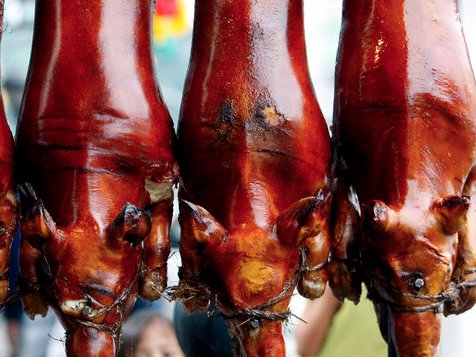 Makanan Haram | The United Muslim Foundation