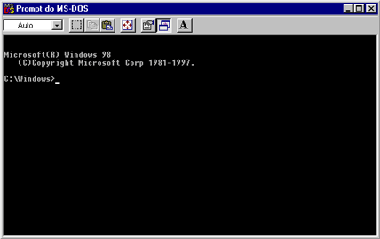 Informatica: MS-DOS