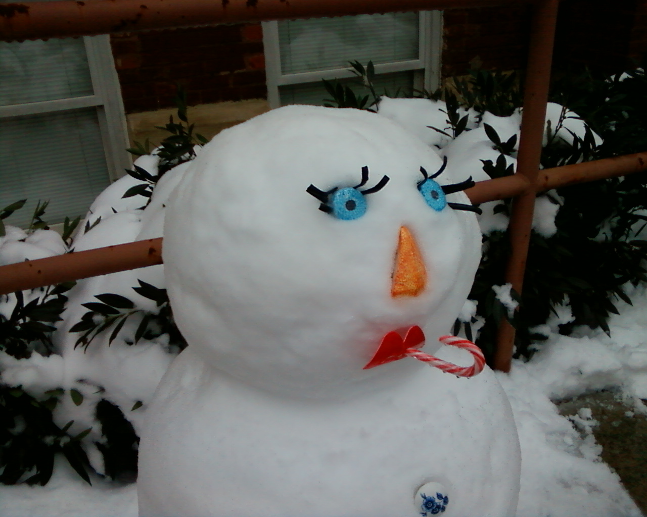 Bonnie's Books: Snow lady