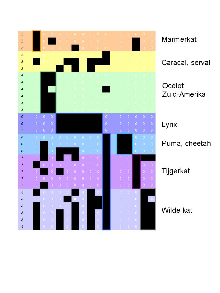Evolutiebiologie: Binnen de katachtigen