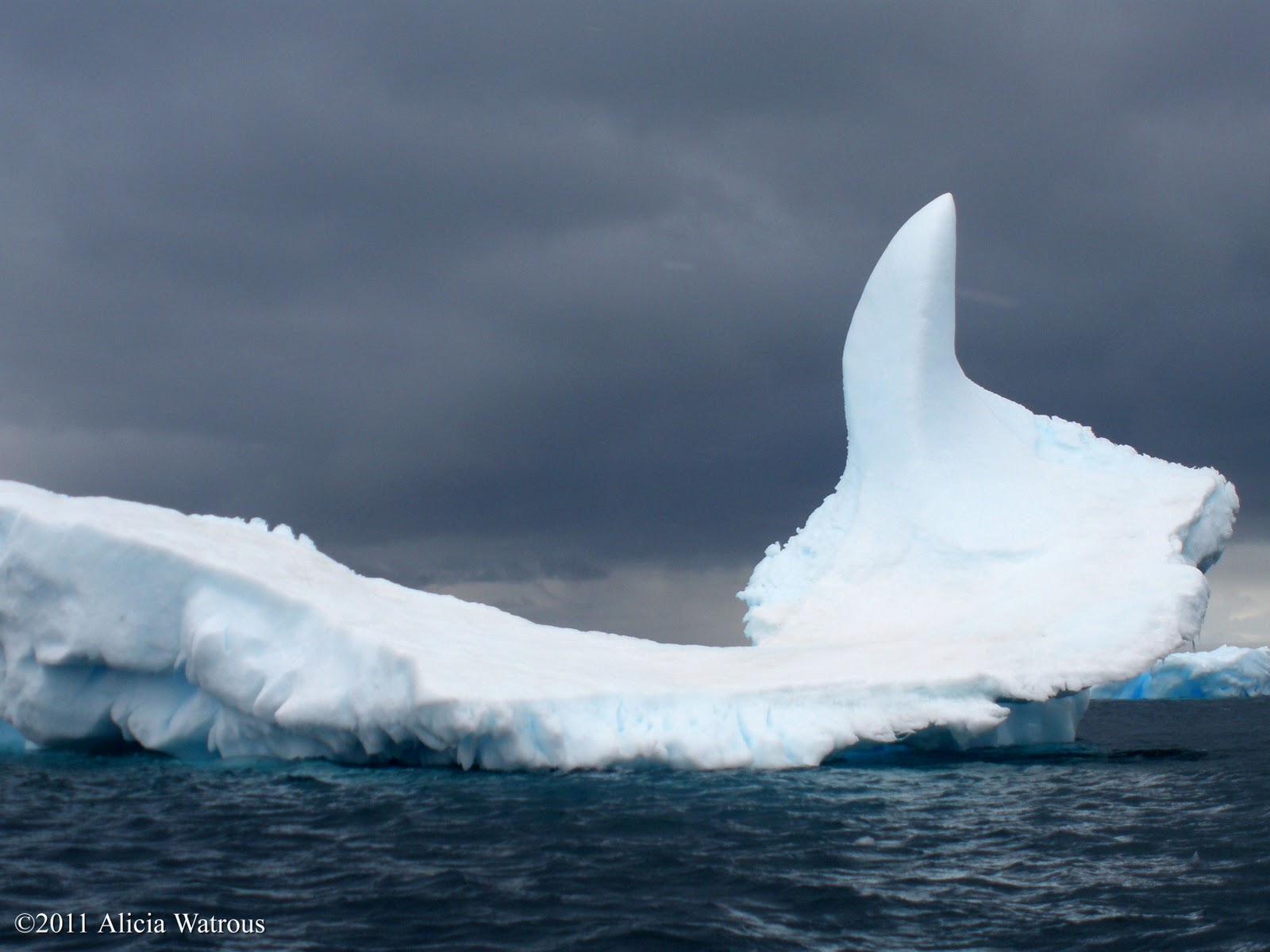 Brian Watrous' Blog: Antarctica