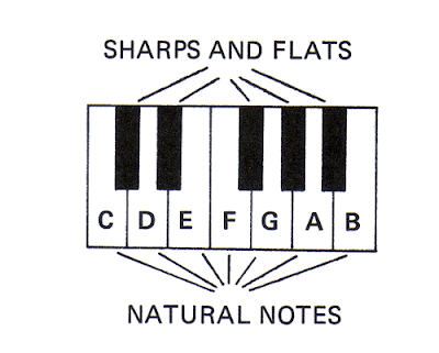 Miss Jacobson's Music: THEORY-KEYBOARD: NAMING THE WHITE AND BLACK ...