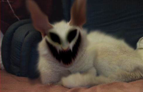 scary cat | Observations