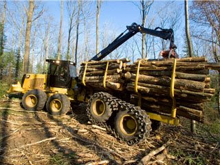 HEAVY MACHINES: Forwarders