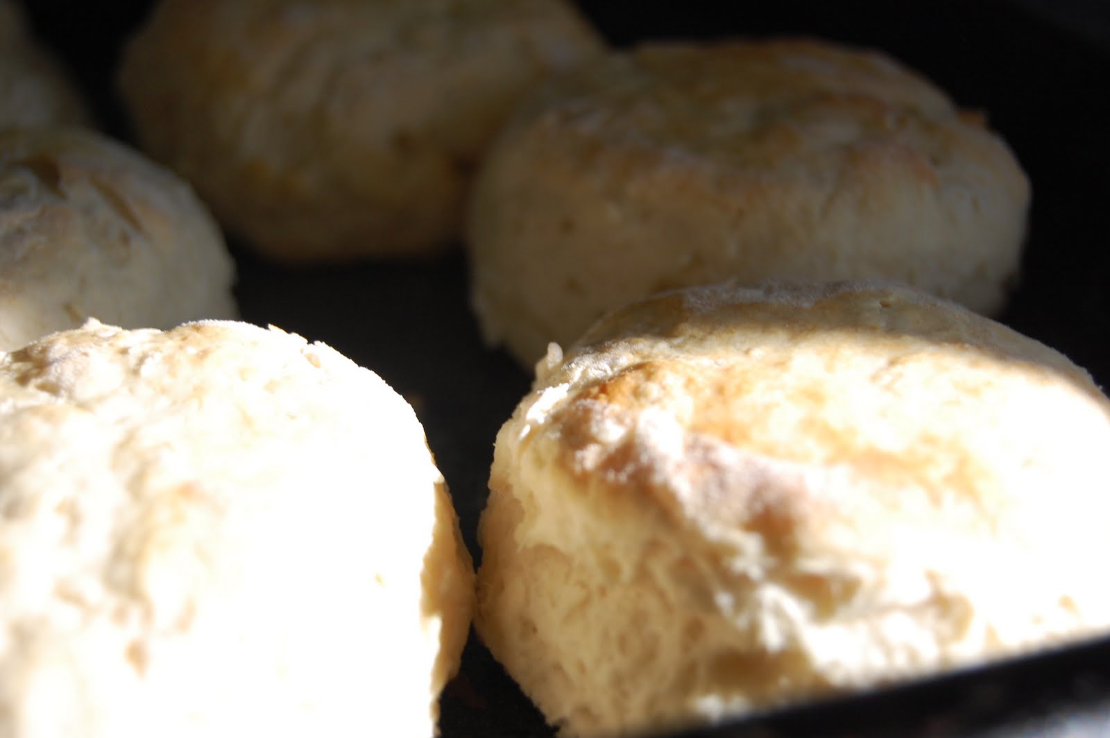 modMamas: The Family Biscuit Recipe