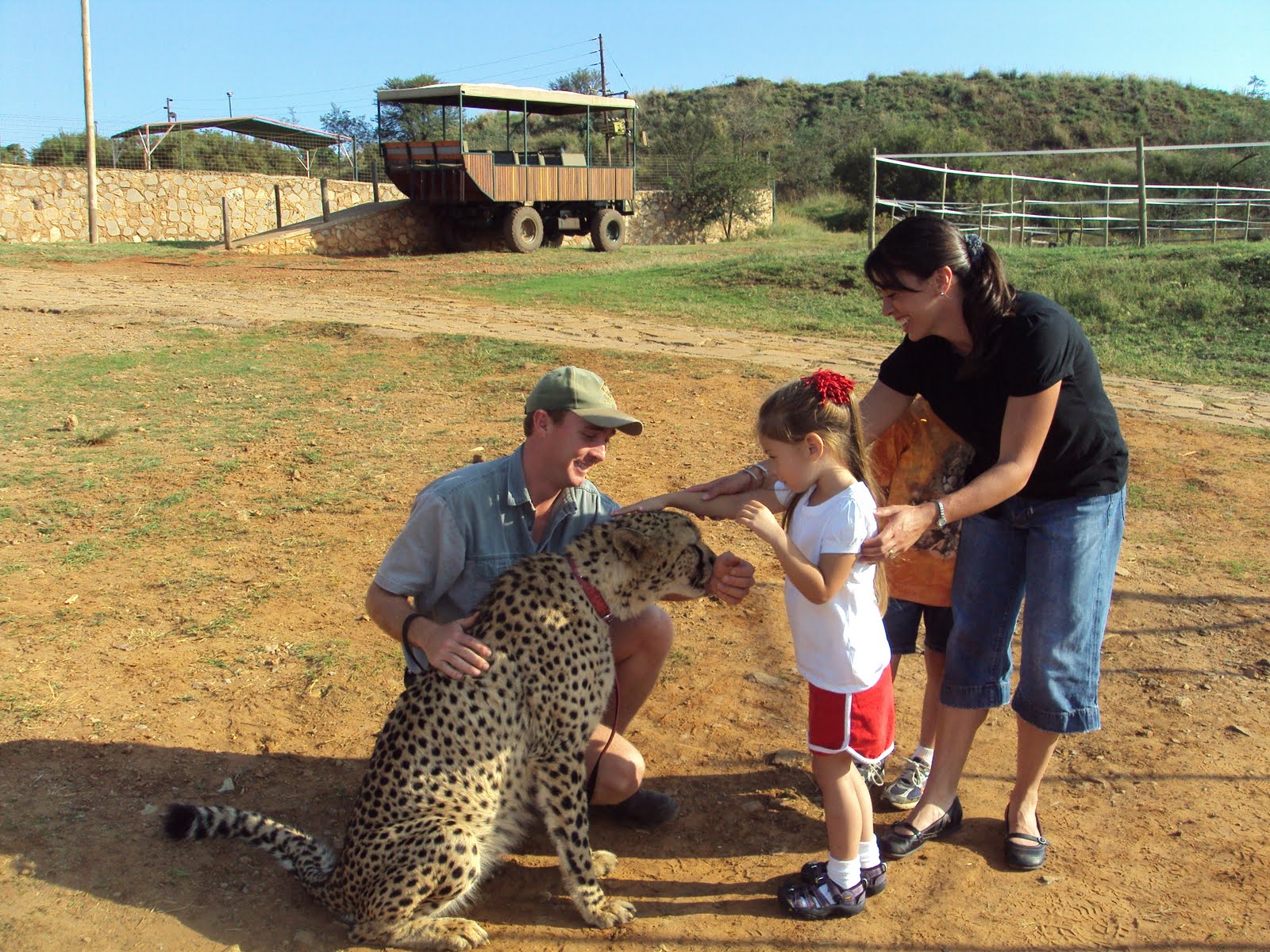 5 Miles Away.....: "The Cheetah"