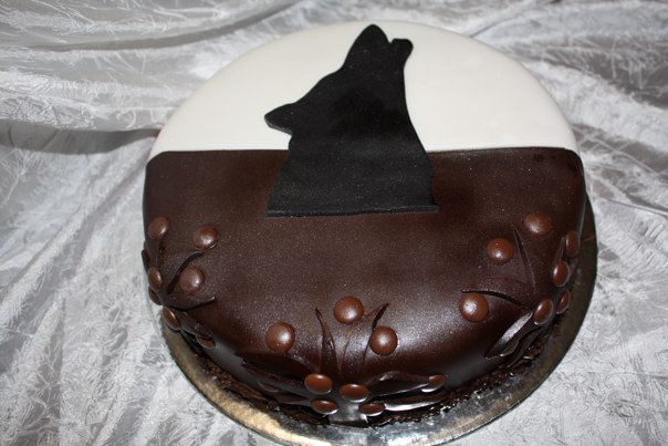 Mandylicious Cakes: Portias Team Jacob cake
