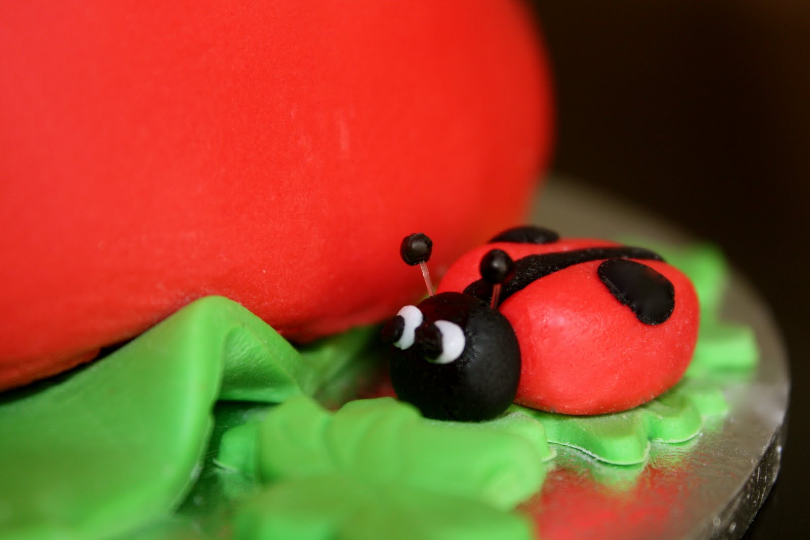 Mandylicious Cakes: Lady bird Cake