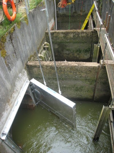 The Dish on Fish: The Search for a “Fish-Friendly” Tide Gate