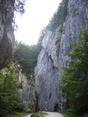 Maya...and...: Prapastiile Zarnestiului