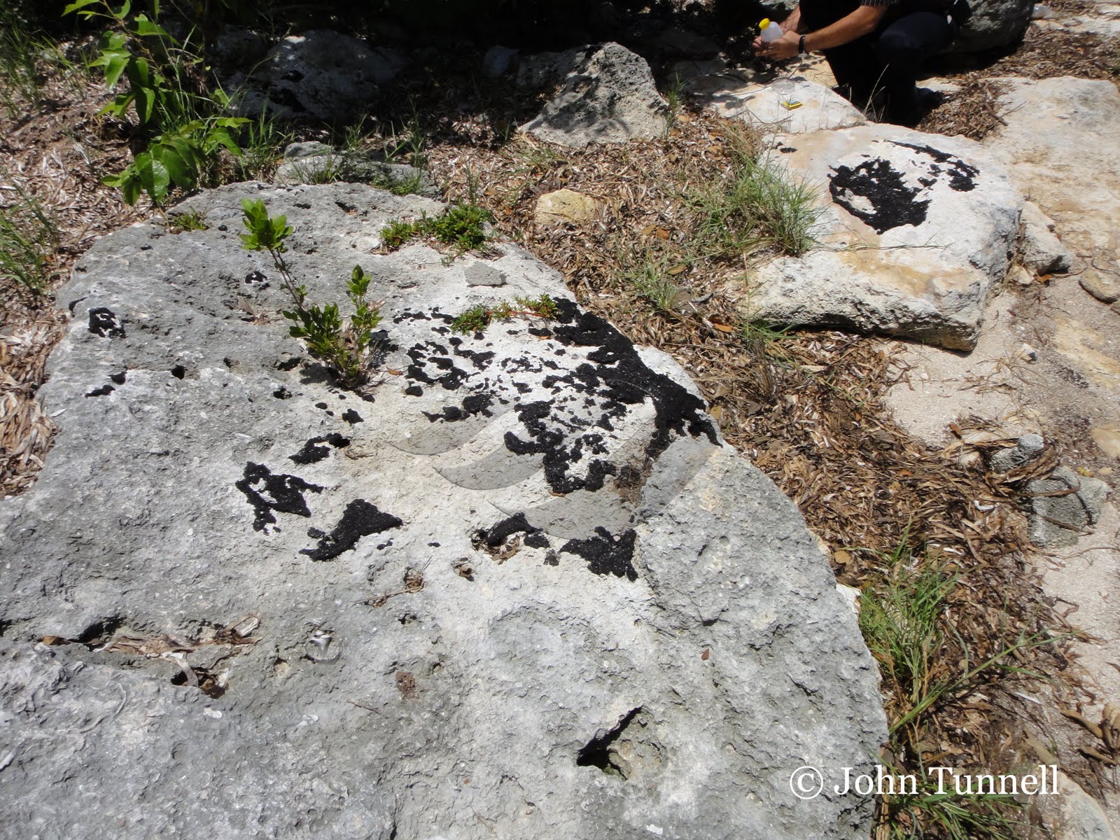 Ixtoc I Expedition: 30 years later: Monday, 5 July 2010